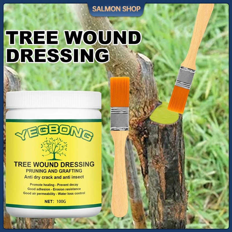100g Yegbong Plant Tree Wound Cut Paste Tree Wound Dressing Bonsai ...