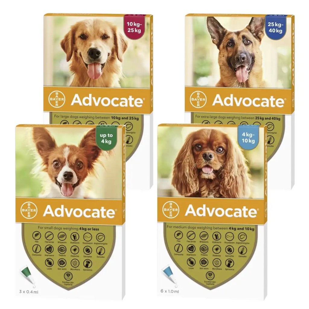 ADVOCATE FOR DOGS ALL SIZE 1 PIPE ONLY (ELANCO BRAND) | Shopee Philippines