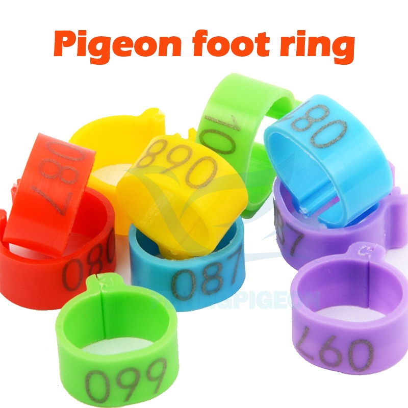 50Pcs Pigeon foot ring 8mm Digital foot ring for Birds,Pigeon Marking ...