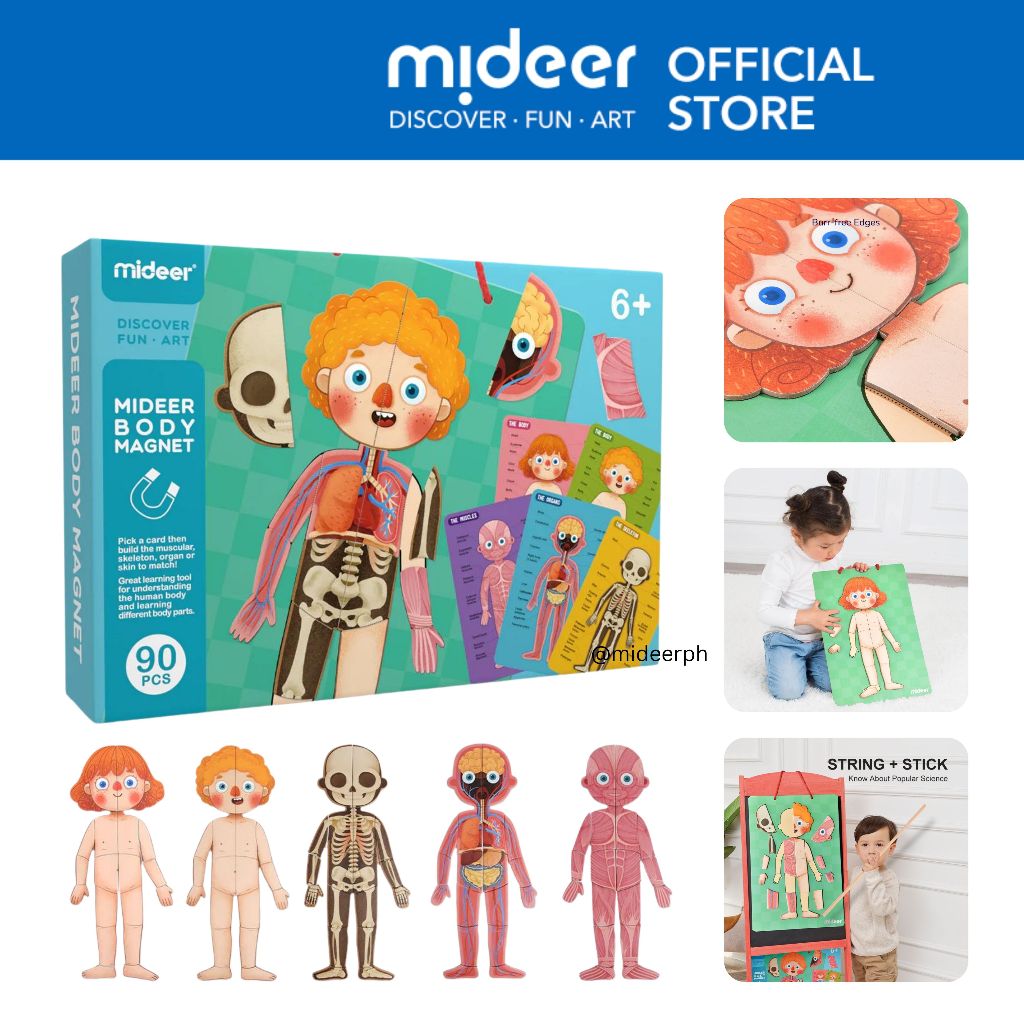 Mideer Body Magnetic Puzzle by Mideer | Shopee Philippines