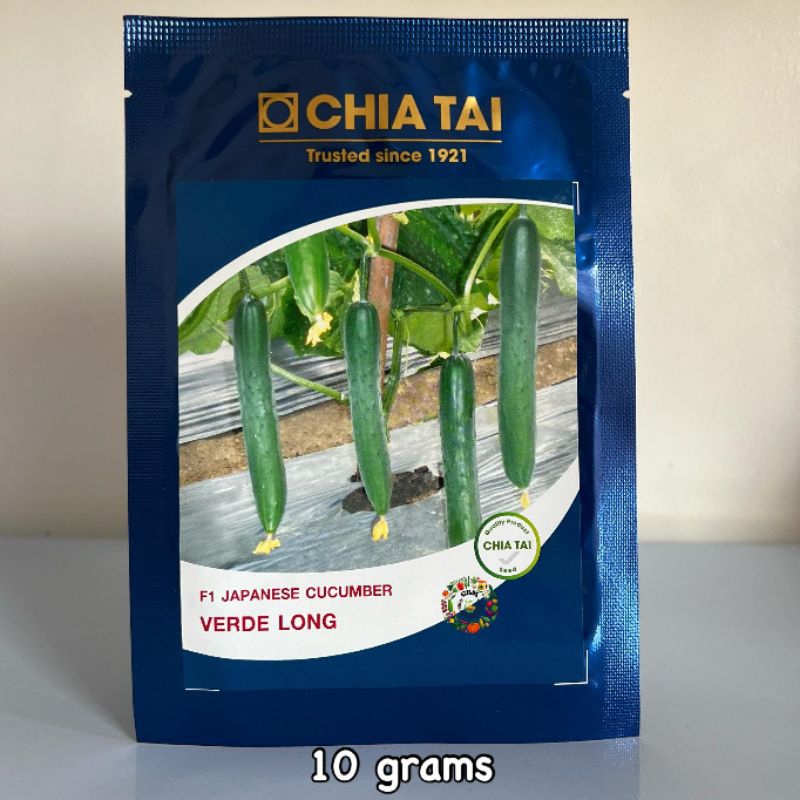 VERDE LONG F1 (10g) CHIA TAI HYBRID JAPANESE CUCUMBER (PIPINO) SEEDS ...