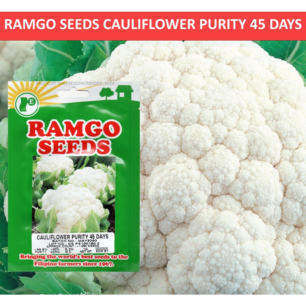 Ramgo RPD Seeds Cauliflower Purity 45 Days 1gram_kc241207 | Shopee ...