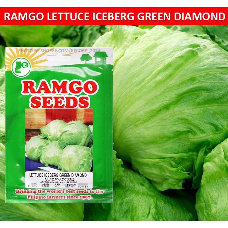 Ramgo RPD Seeds Lettuce Iceberg Green Diamond 1.6gram_kc241207 | Shopee ...
