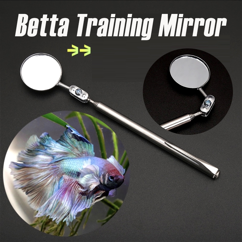 Betta training mirror Stretchable betta strike reflect mirror for ...