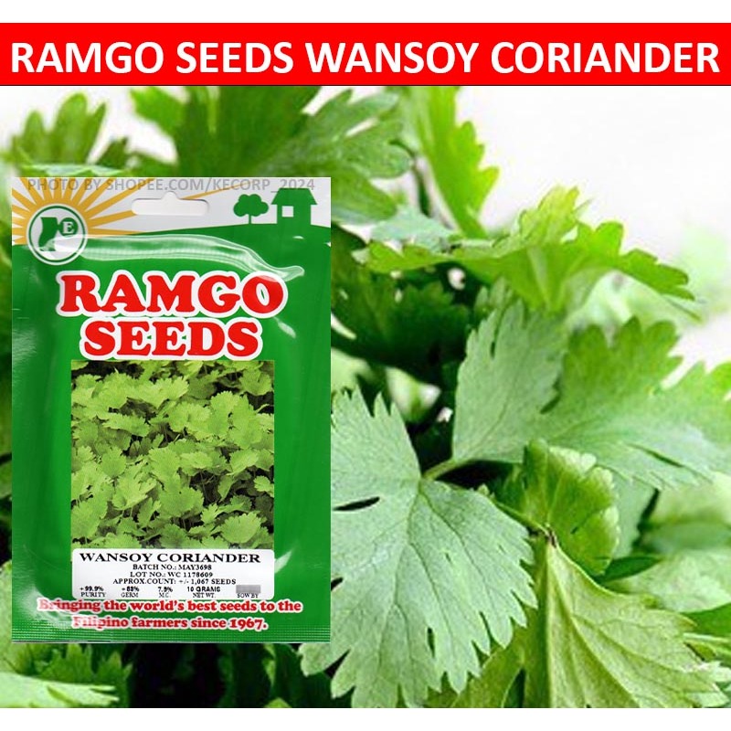Ramgo RPD Seeds Coriander Wansoy 10grams_kc241207 | Shopee Philippines