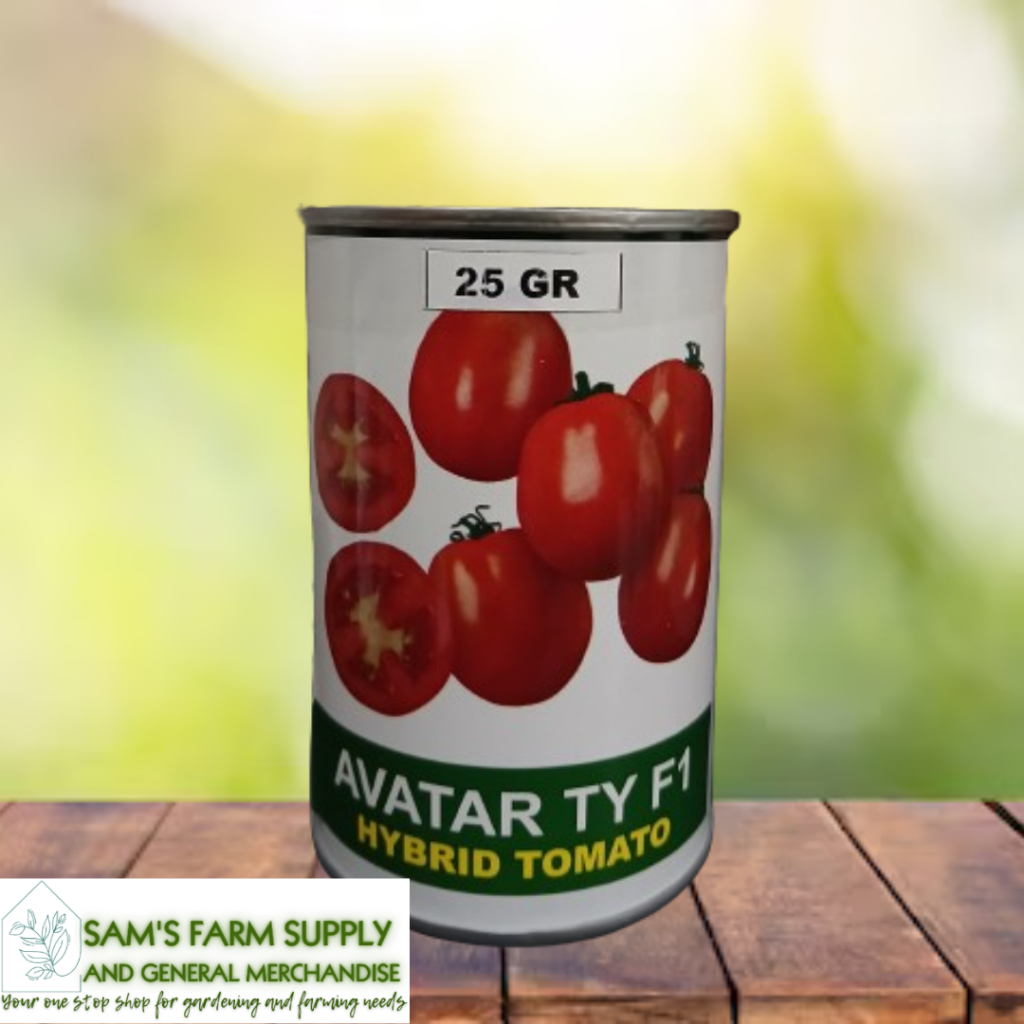 Hybrid Tomato Seeds - AVATAR F1 by CONDOR 25g | Shopee Philippines