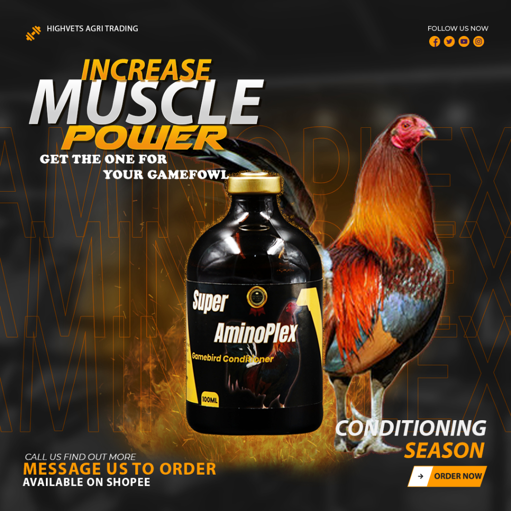 SUPER AMINOPLEX ( Bcomplex + Amino Acid) Pangkondisyon para sa manok ...