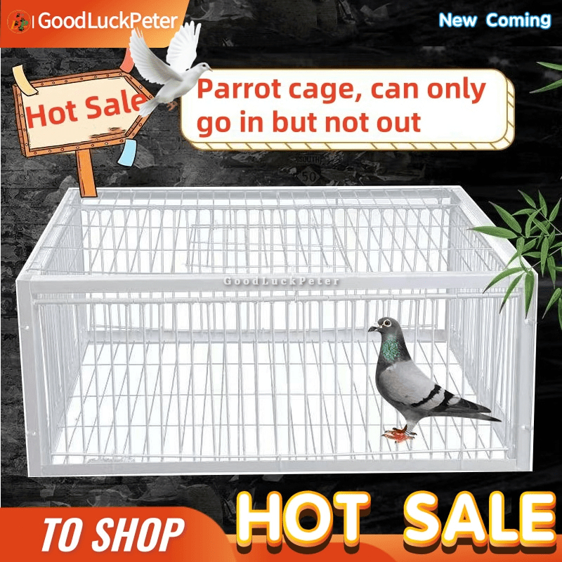 Pigeon cage Pigeon trap door Automatic trap cage All metal capture cage ...
