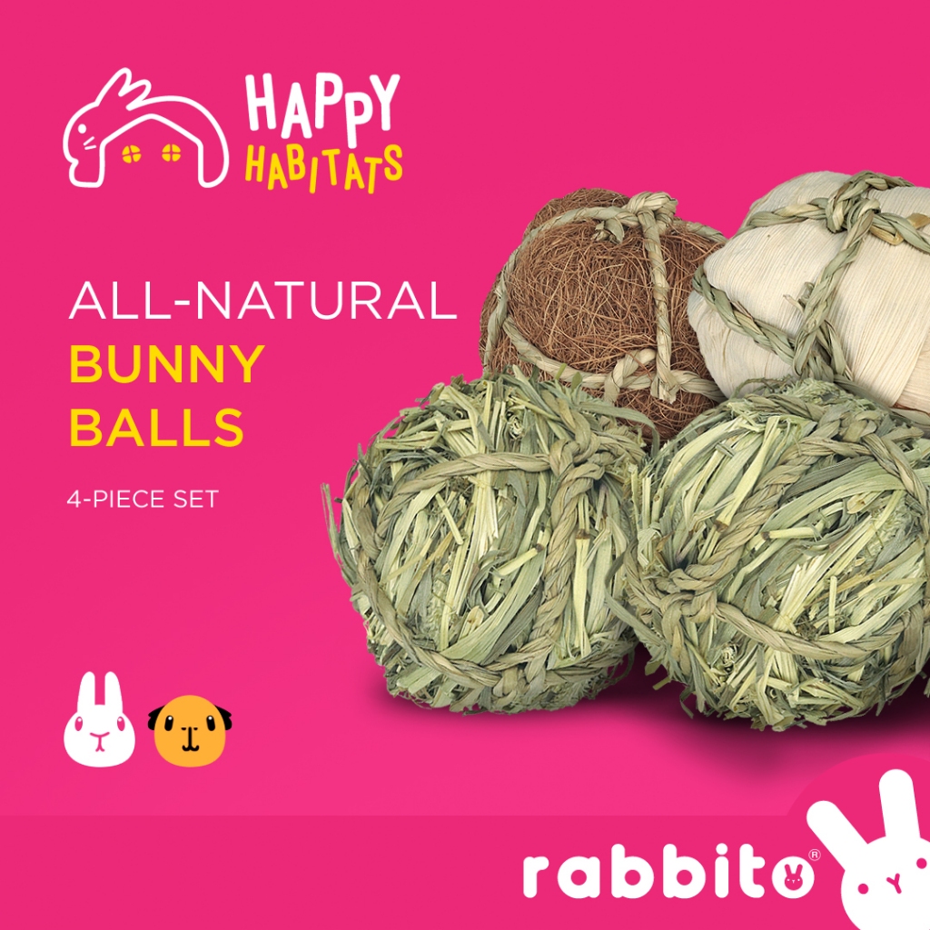 Happy Habitats BUNNY BALLS 4-Piece Toy Set for rabbits, guinea pigs and ...