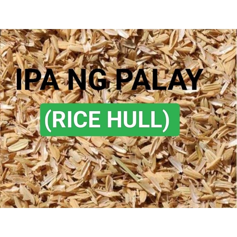 RICE HULL OR IPA NG PALAY | Shopee Philippines