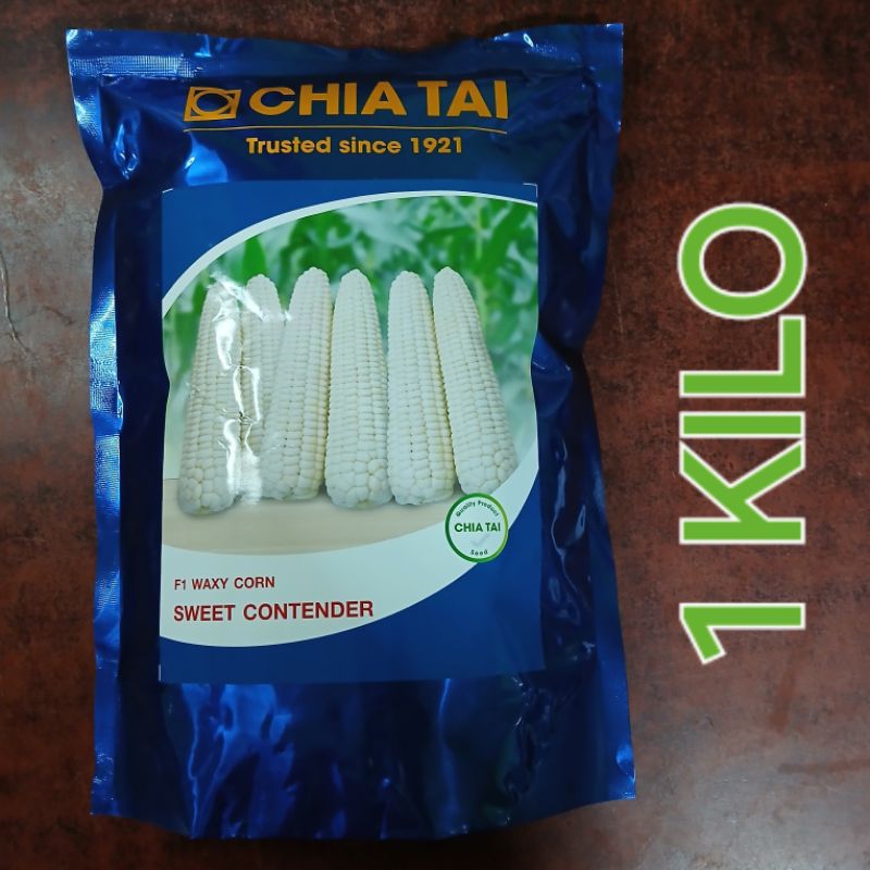 SWEET CONTENDER F1 (1 KILO) HYBRID WAXY CORN / LAGKITAN MAIS SEEDS BY ...