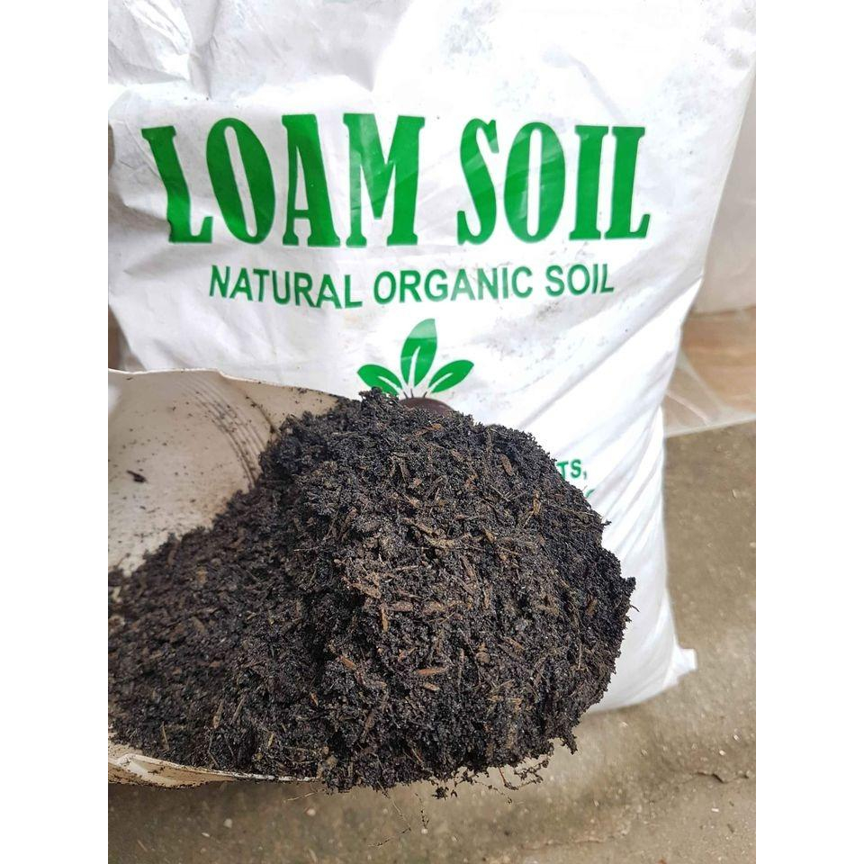 Premium Loam Soil Organic Soil 500grams & 1 Kilo for Plants Gardening ...