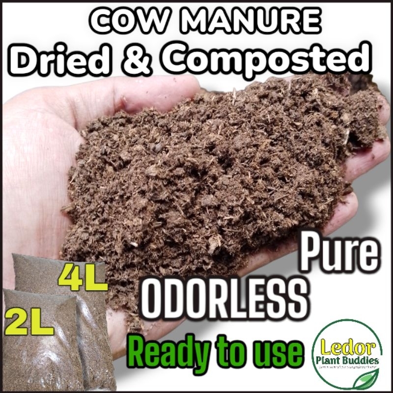 Dried Odorless pure cow manure 2 liter & 4 liter composted | Cattle ...