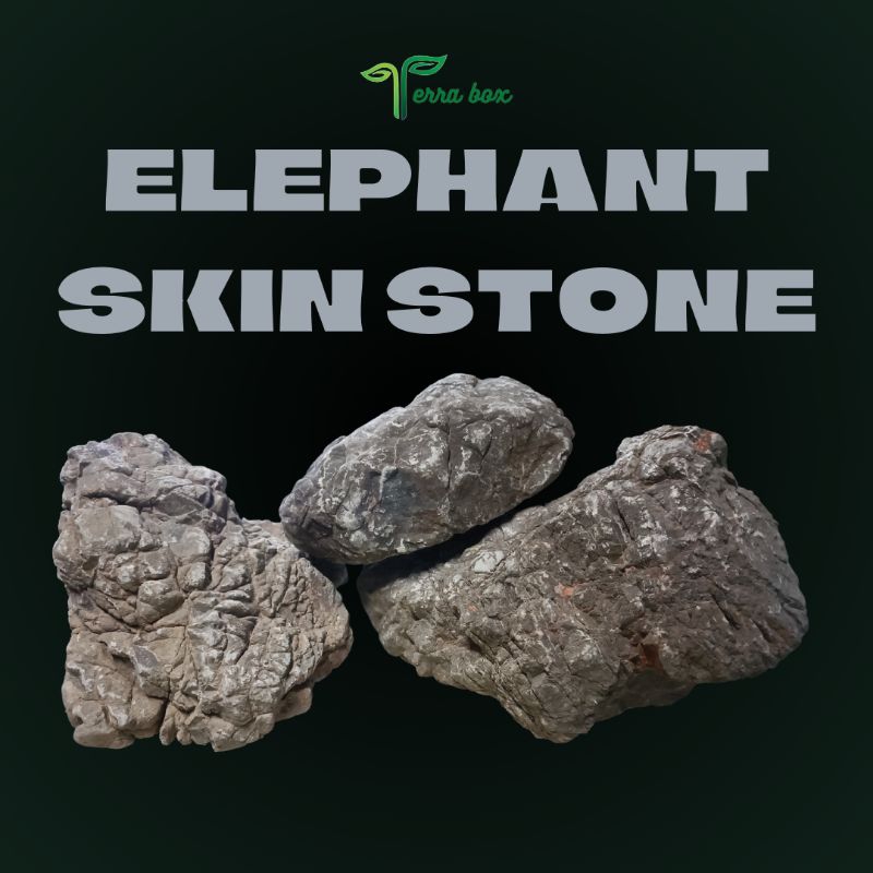 DRAGON STONE, BLACK SEIRYU STONE AND RYUOH STONE FOR AQUARIUM AND ...