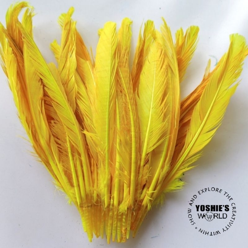 30 grams CHICKEN Balahibo Feather PAKPAK for DIY crafting decorations ...