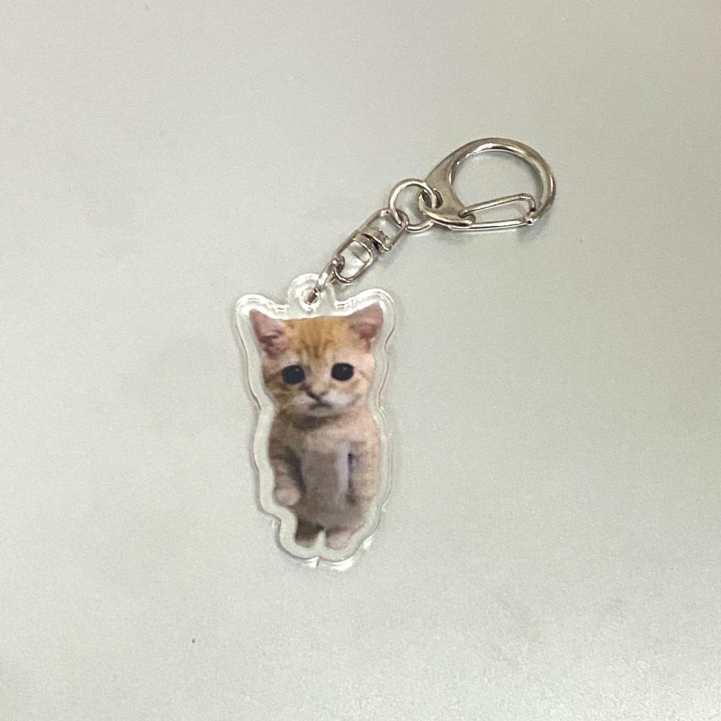 Funny Cute Crying Banana Cat Keychain Acrylic Cartoon Key Ring | Shopee ...