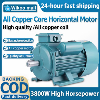 Single Phase Motor 3800W Electric Induction Motor (Copper Motor) 220V ...