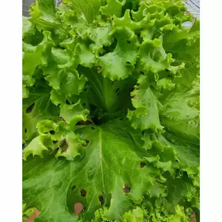 Katanim Store, Online Shop | Shopee Philippines