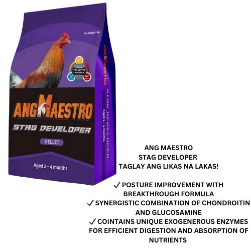 1KILO PAMPATIBAY NANG BUTO, JOINTS AT MUSCLES 2-4 MONTHS STAG DEVELOPER ...