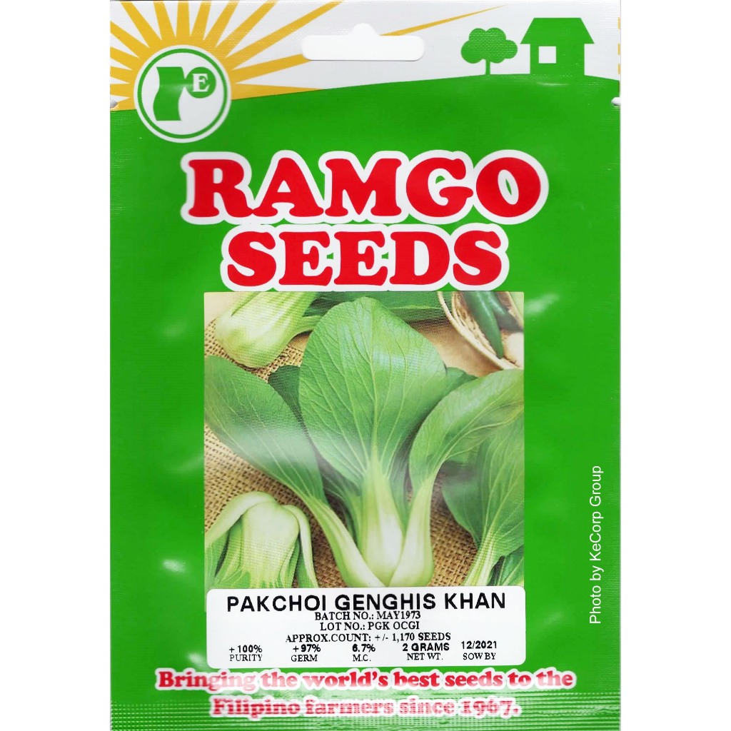 Ramgo Seeds - Pechay Pakchoi Eggplant Ampalaya Patola Upo Sitao Okra ...