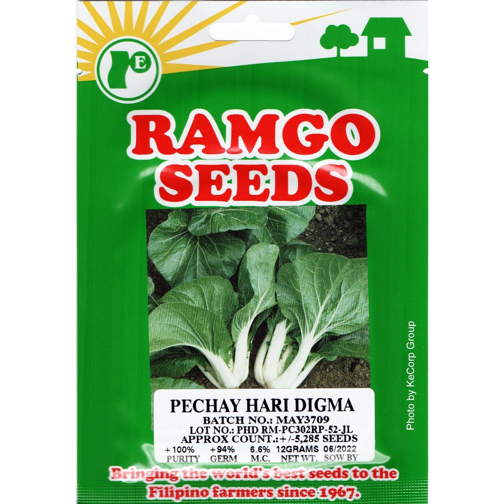 Ramgo Seeds - Pechay Pakchoi Eggplant Ampalaya Patola Upo Sitao Okra ...