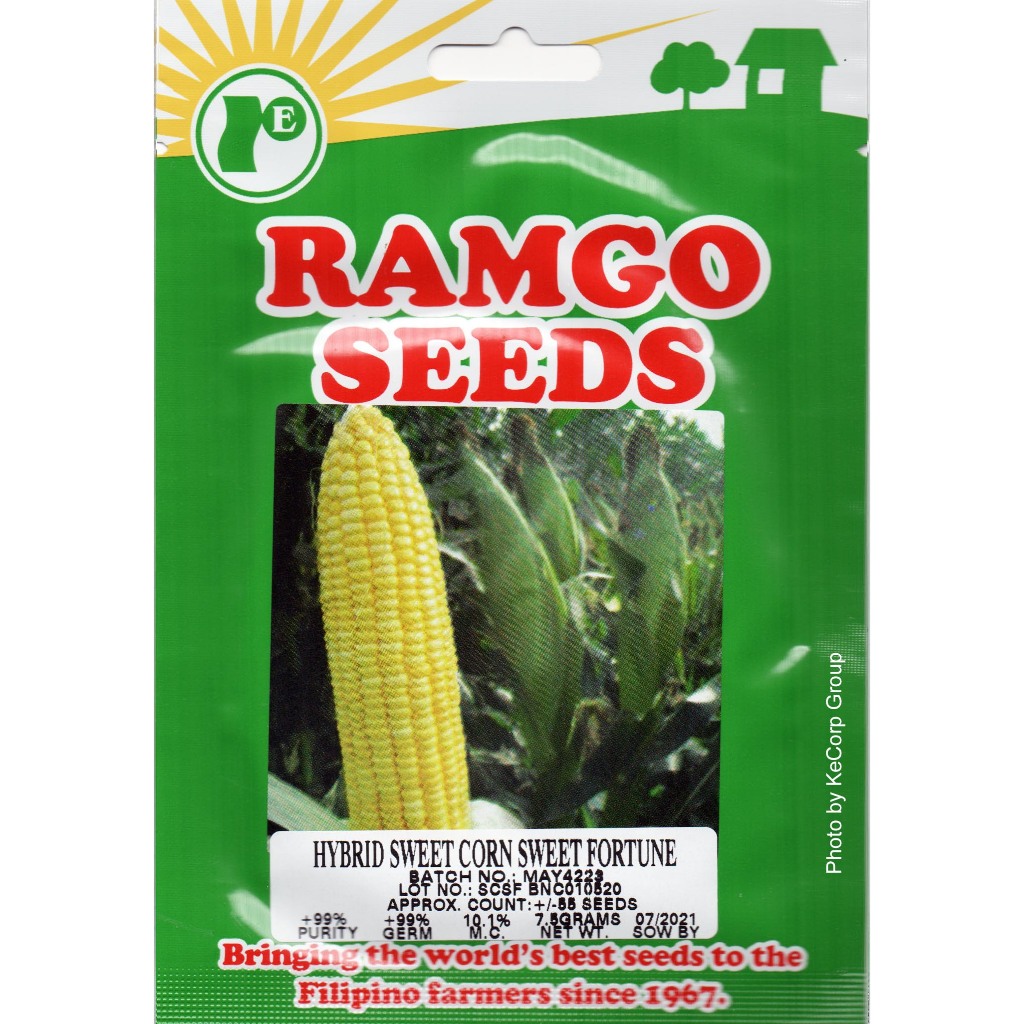 Ramgo Seeds - Pechay Pakchoi Eggplant Ampalaya Patola Upo Sitao Okra ...