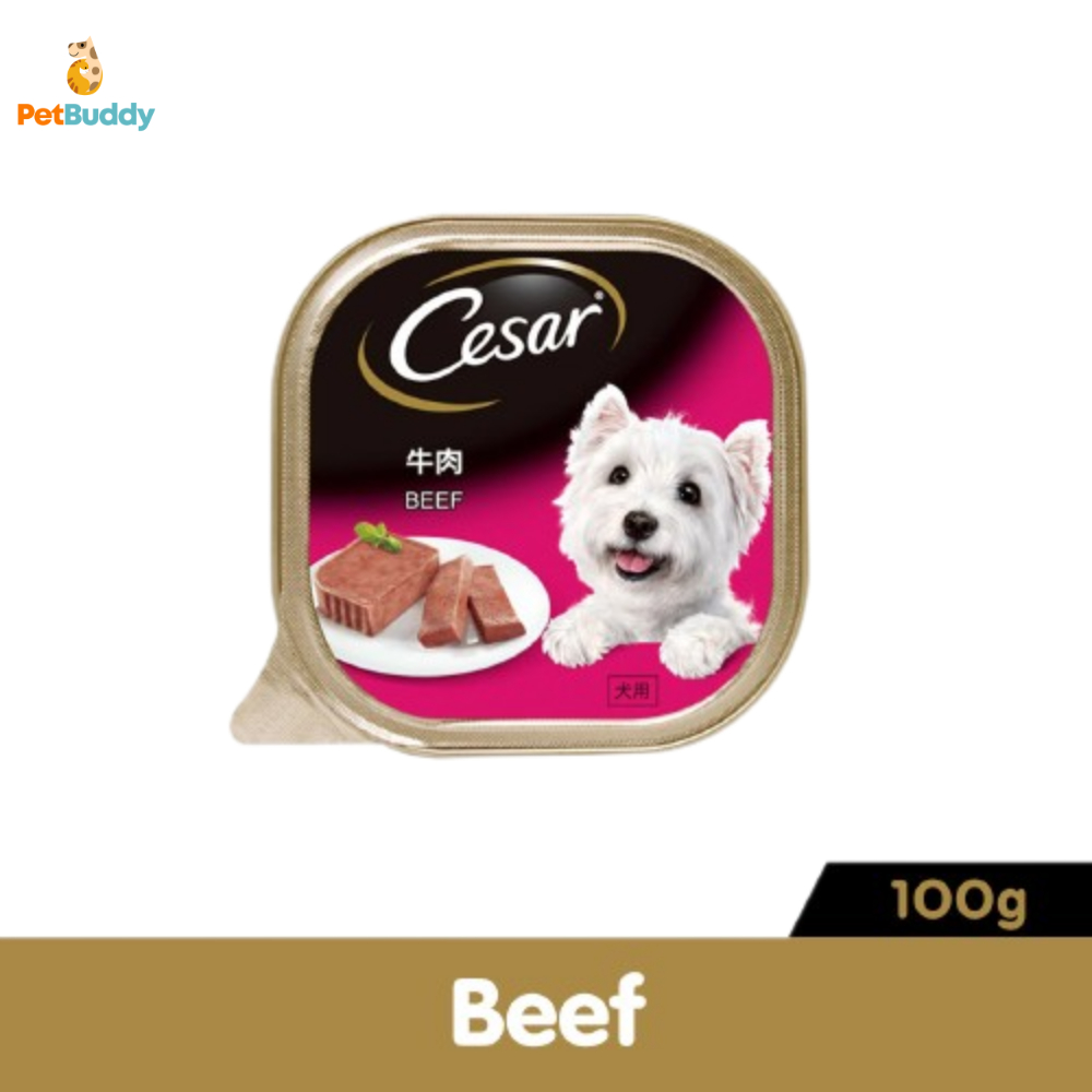 CESAR TRAY (BEEF, BEEF&LIVER,LAMB,CHICKEN) 100G | Shopee Philippines