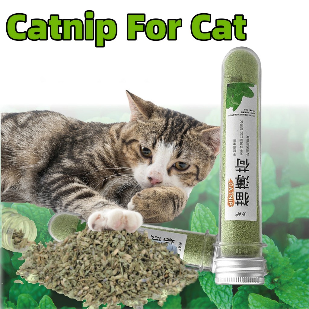 Deveby Catnip For Cats Cat Treat Organic Natural Catnip Cat Tooth Health Increase Appetite 50 ML ...