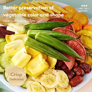 CHOCMET Buy 1 Take 1 Dried Vegetables Snack 12 in 1 Mixed Fruits and ...