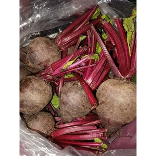 Shop beetroot for Sale on Shopee Philippines