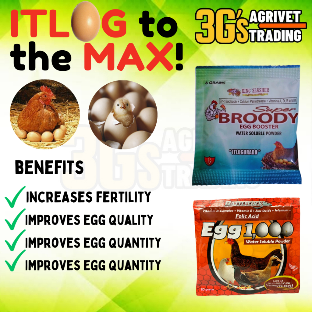 [3G AGRIVET] PICK THE BEST EGG BOOSTER FOR YOUR HEN / SUPER BROODY ...