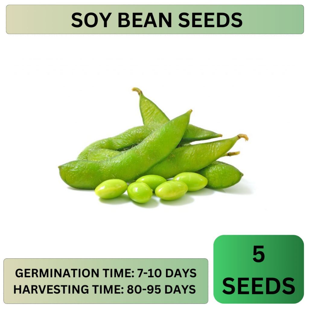 (SET 2) SULIT PACK! VEGETABLE SEEDS! (Pechay Tomato Mustasa Talong ...