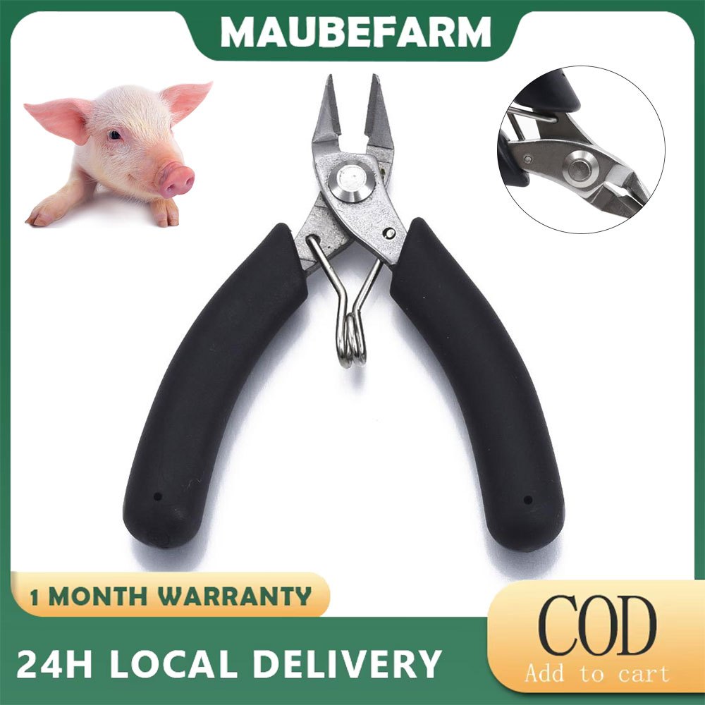 1 2 5Pcs Stainless Steel Piglet Teeth Cutter Pig Tooth Nipper Teeth ...