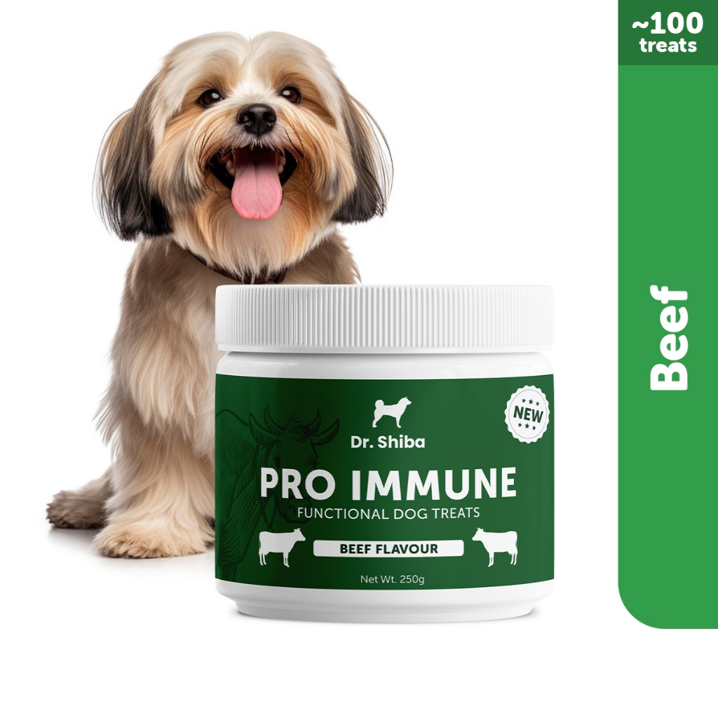 Dr Shiba Pro Immune Healthy Dog Treats Snack: Dog Multivitamins - Dog ...