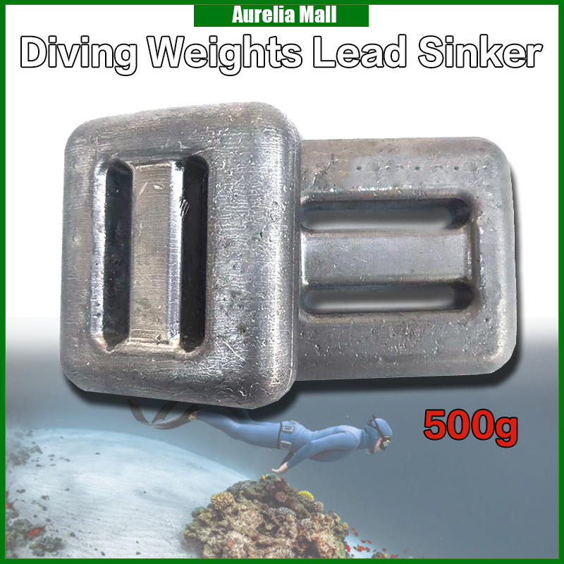 0.5Kg Diving Weights Freediving Weights Scuba Dive Weights For Diving ...