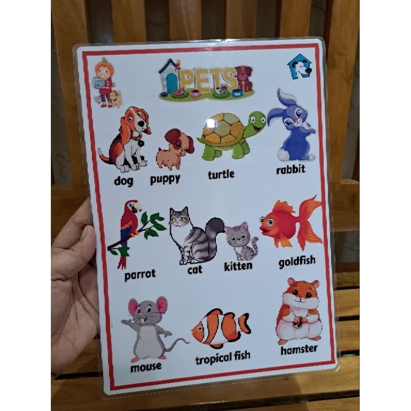 Animal Charts Laminated A4 bond paper size for kids(teacher pher ...