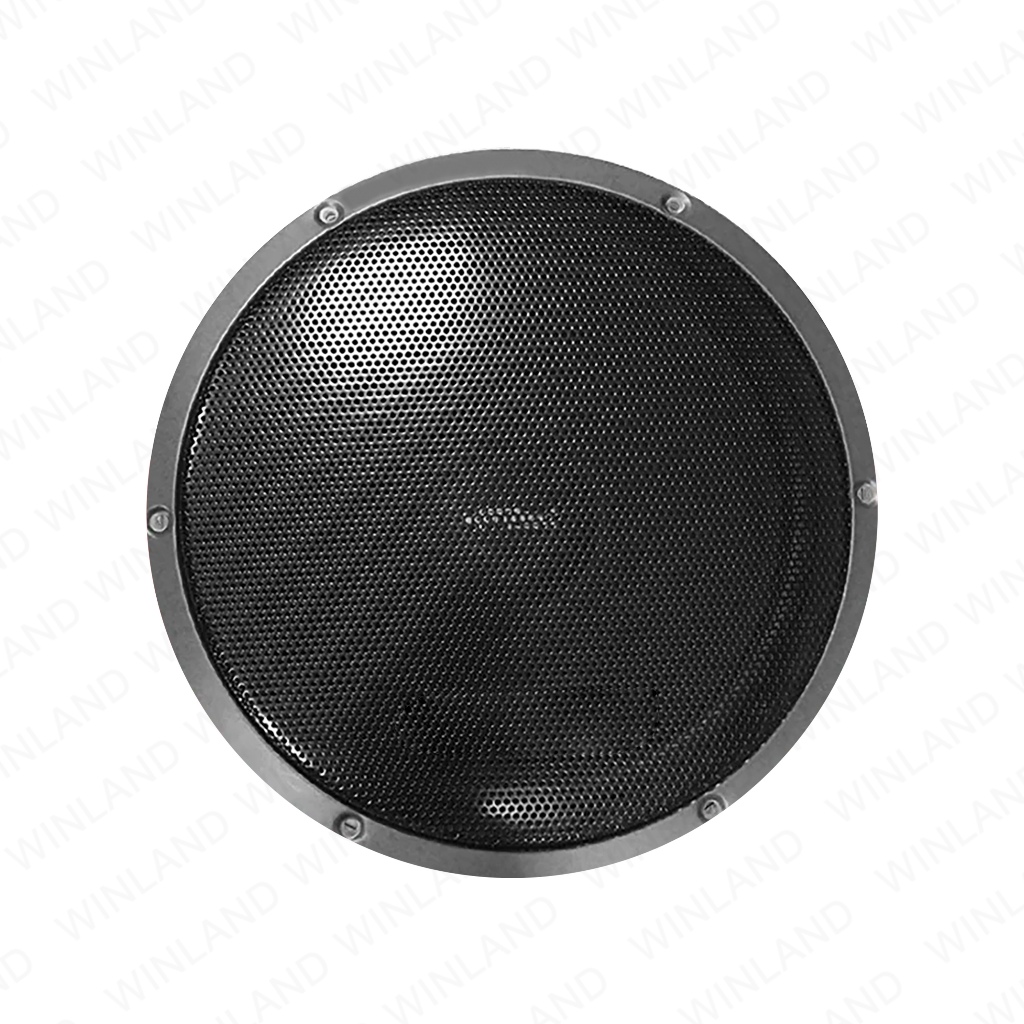 Winland 12-inch Professional D12 Speaker in Hi-Fi Karaoke Woofer 200-250W OEM-SG-12W | Shopee ...