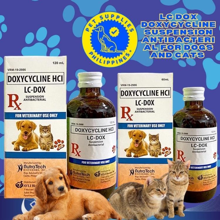 LC DOX 120ML SUSPENSION ANTIBACTERIAL | Shopee Philippines