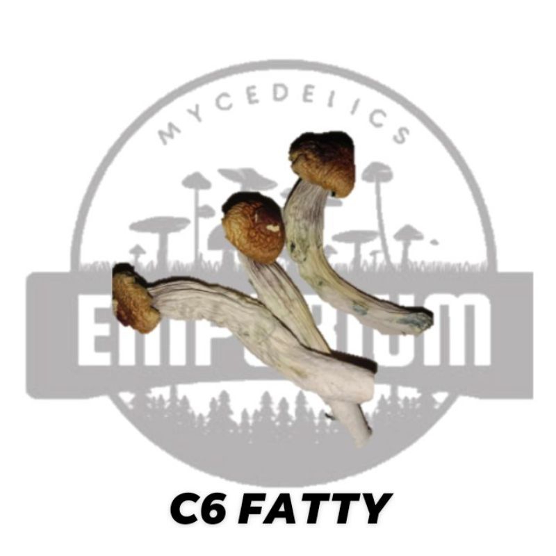 C6 Fatty Shrooms Cubensis Dried 5G | Shopee Philippines