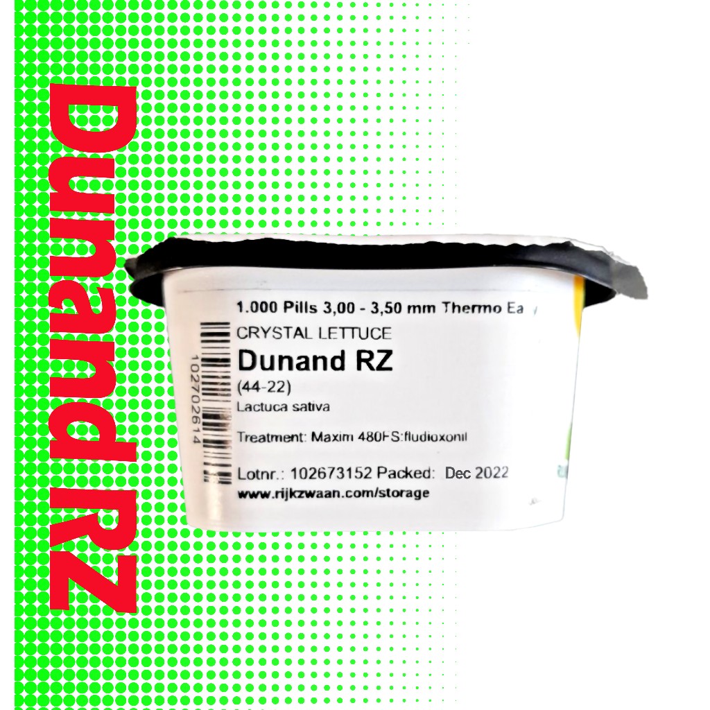 Dunand by Rijk Zwaan Crystal Lettuce Seed Plus MAXIMUS free seeds ...