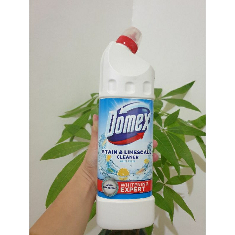 Domes Stain and Limescale Cleaner 880ml | Shopee Philippines