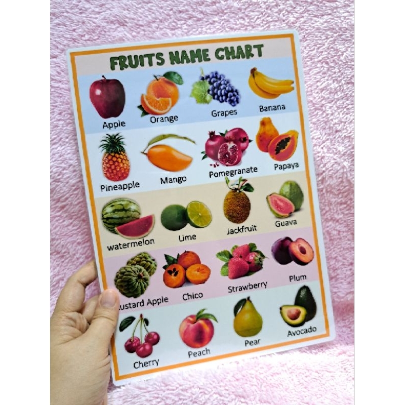 Paper Fruits And Vegetables