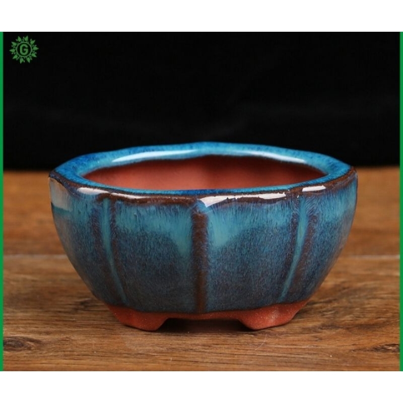 for live selling checkout link for Sir/Ma'am Ms.criss_lyn | Shopee Philippines