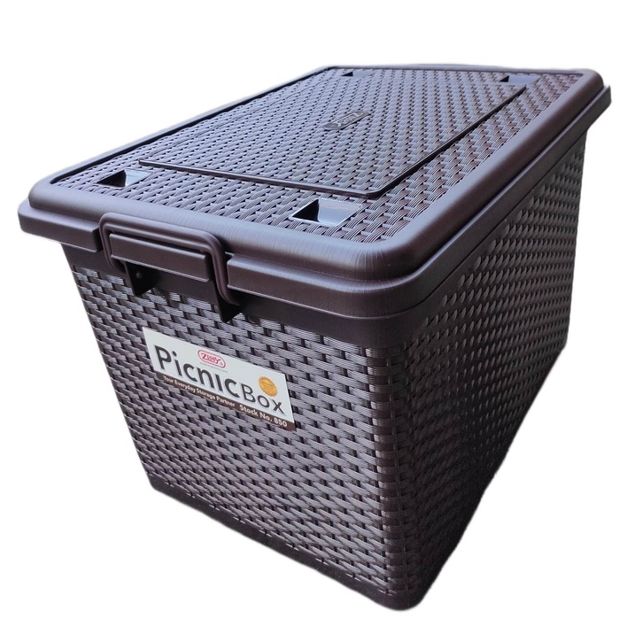 STORAGE BOX Zooey Rattan Picnic Box Storage Box #850-SMALL | Shopee Philippines