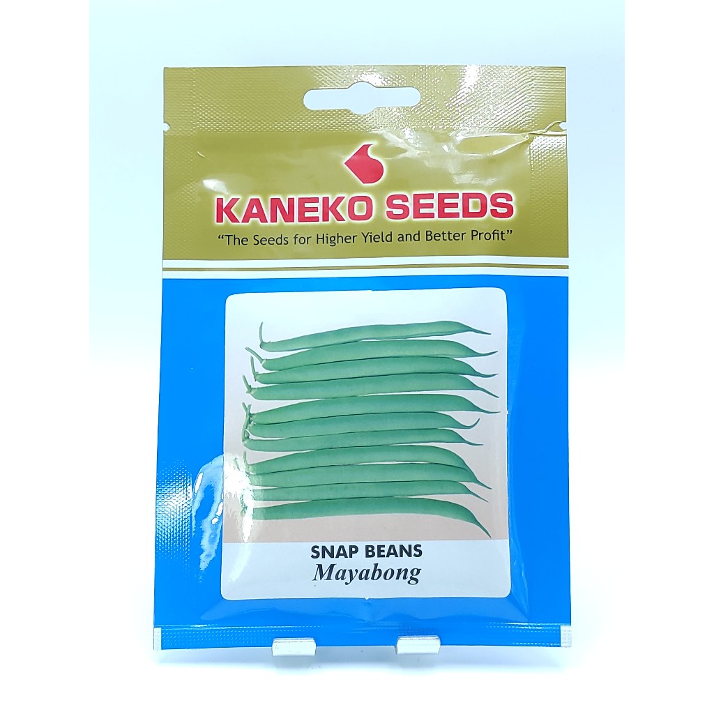 KANEKO SEEDS MAYABONG BAGUIO SNAP BEANS MAYABONG (APPROX # OF SEEDS: 53 ...