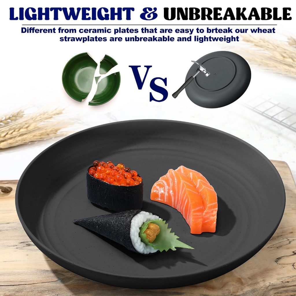 FAMILIFE 1pc Eco-Friendly Wheat Straw Fiber Dinner Plates (23cm ...