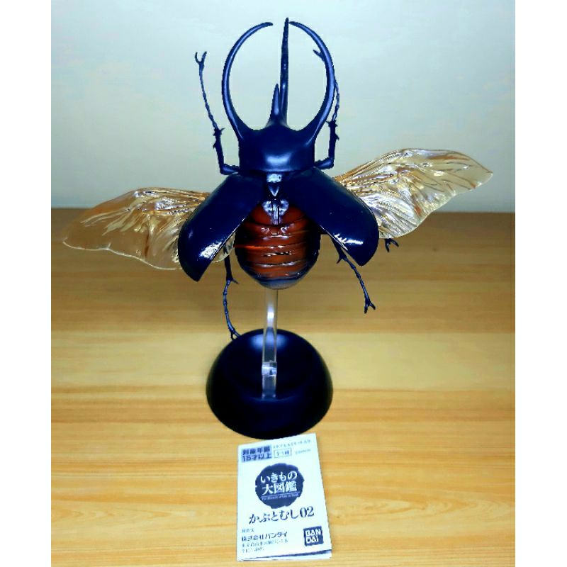 Bandai Dango Mushi Ikimono Encyclopedia Beetle/Mantis/Kuwagata Insect ...