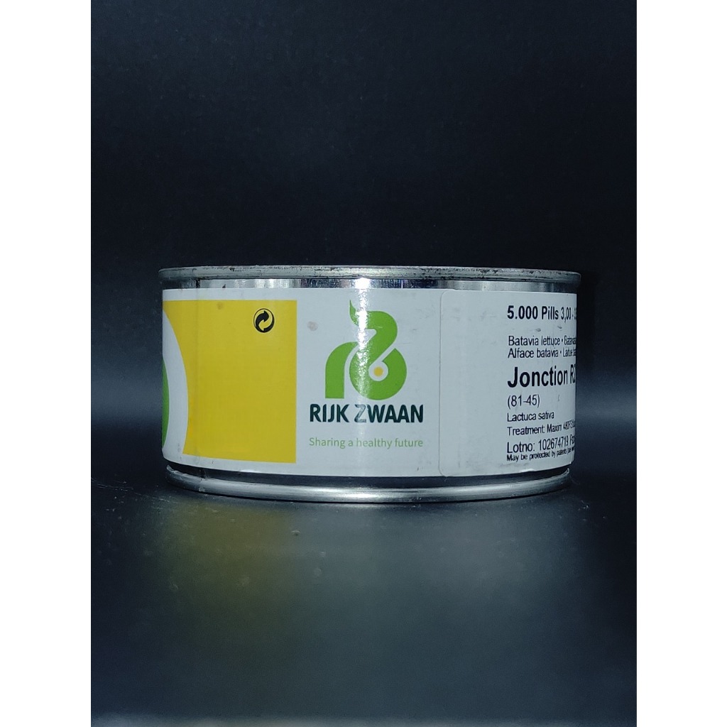 RIJK ZWAAN JONCTION RZ BATAVIA LETTUCE (5000 PILLS) | Shopee Philippines