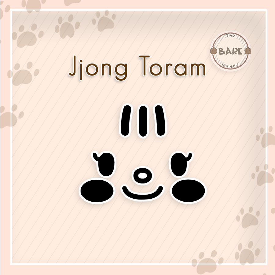 Seventeen [Jjong Toram] Decal Stickers Caratbong Carat by twobarehands ...