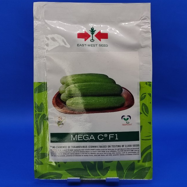 EAST-WEST SEED MEGA C F1 HYBRID CUCUMBER SEEDS ASENSO PACK (200 seeds ...